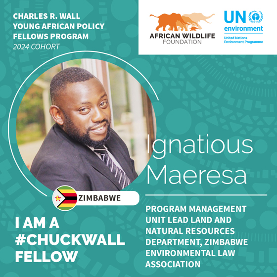 AWF Experts Attending the CBD COP16 | African Wildlife Foundation